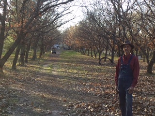 Chestnut Charlie's Tree Crops