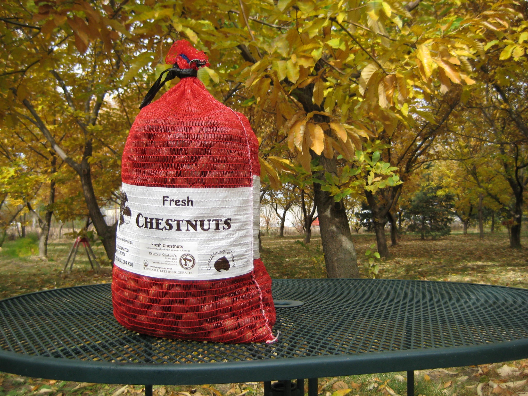 Chestnut Charlie's Tree Crops